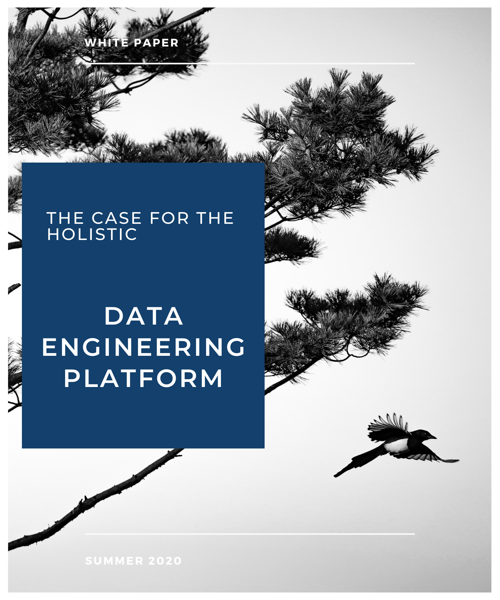 The Case for the Holistic Data Engineering Platform - Silectis